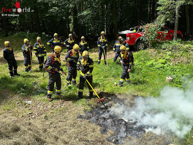 Stmk: Basis-Lehrgang Vegetationsbrandbekämpfung im Bereich Mürzzuschlag ...